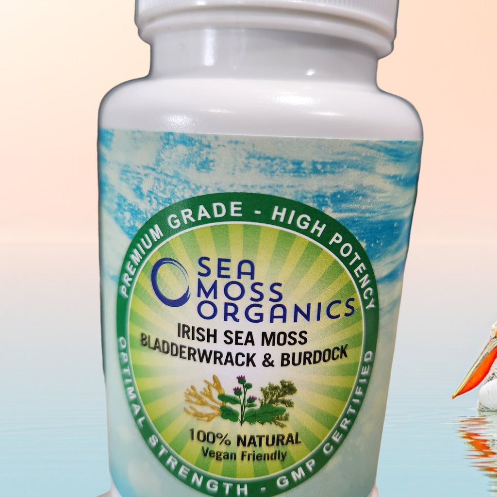 Sea Moss| Bladderwrack | Burdock Root 120 Capsules – Sea Moss Organics